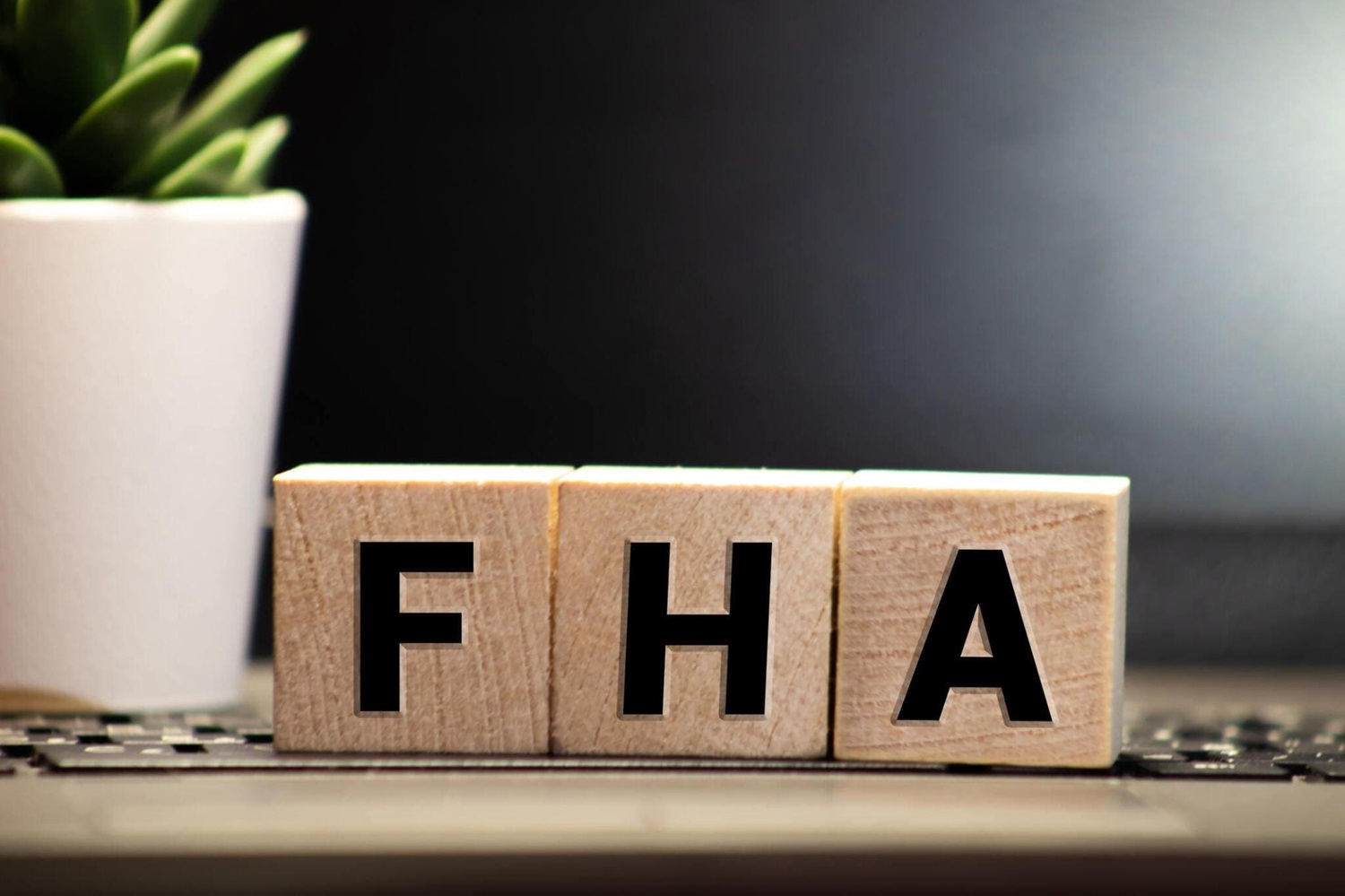 FHA Loans: Exploring Basics and Requirements - | Boris Cherner